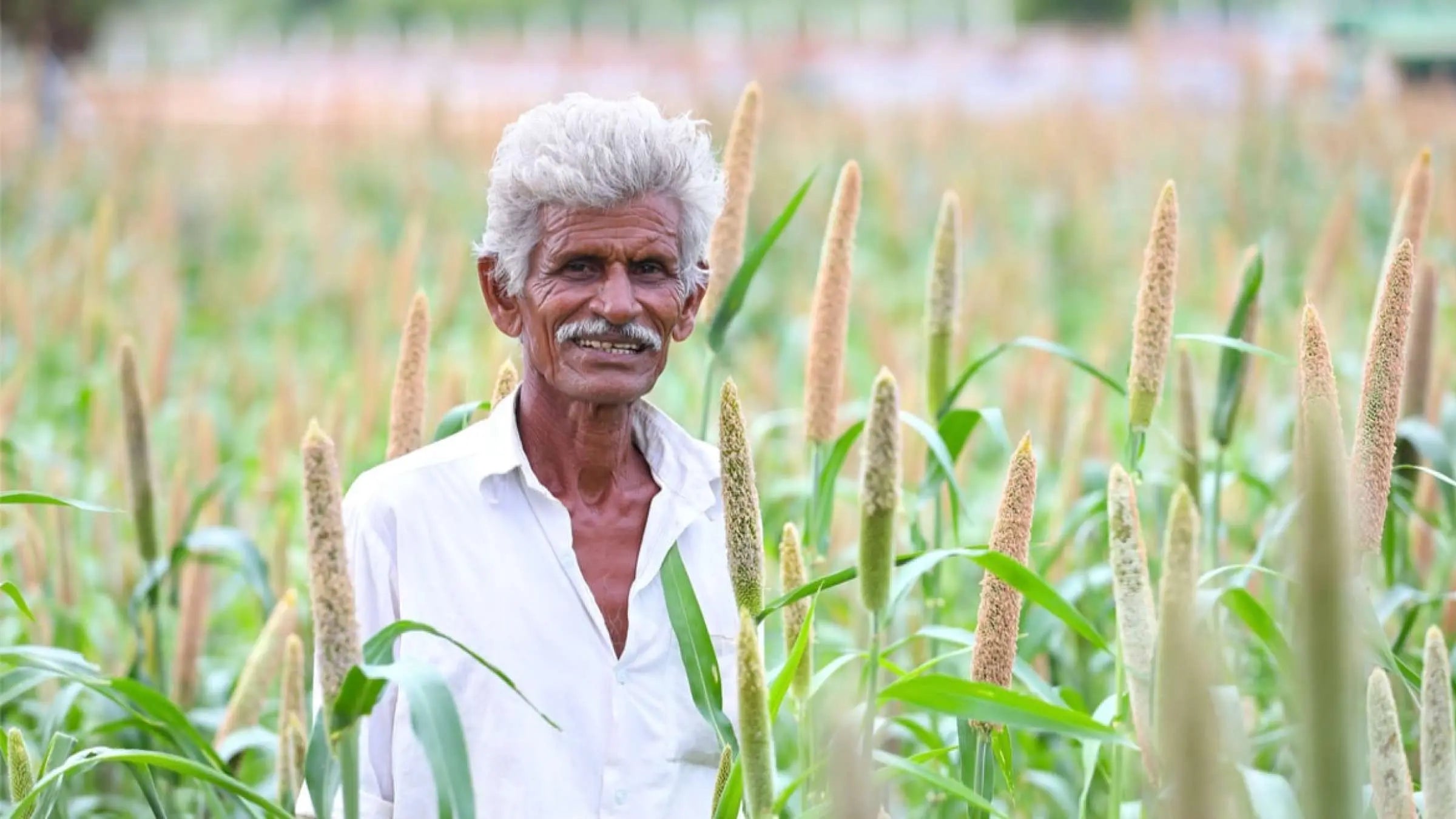 Millet Farmers: The Backbone of the Nutritional Revolution - Millets ...